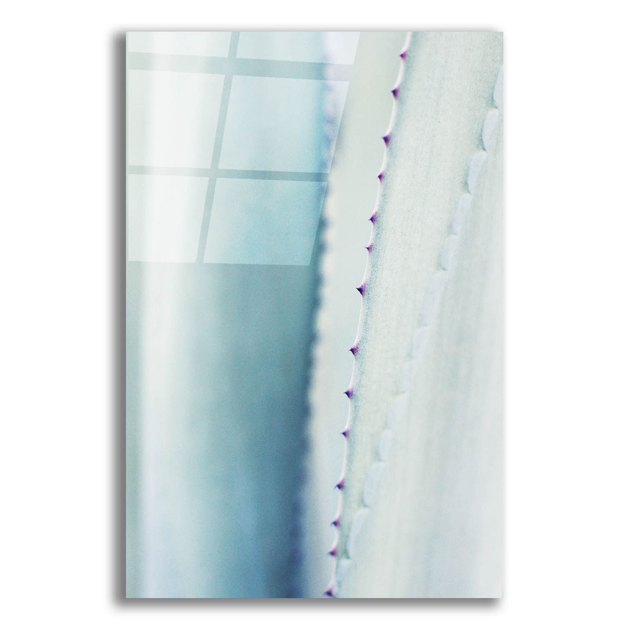 Epic Art 'Pale Blue Agave No. 2' by Lupen Grainne, Acrylic Glass Wall ...