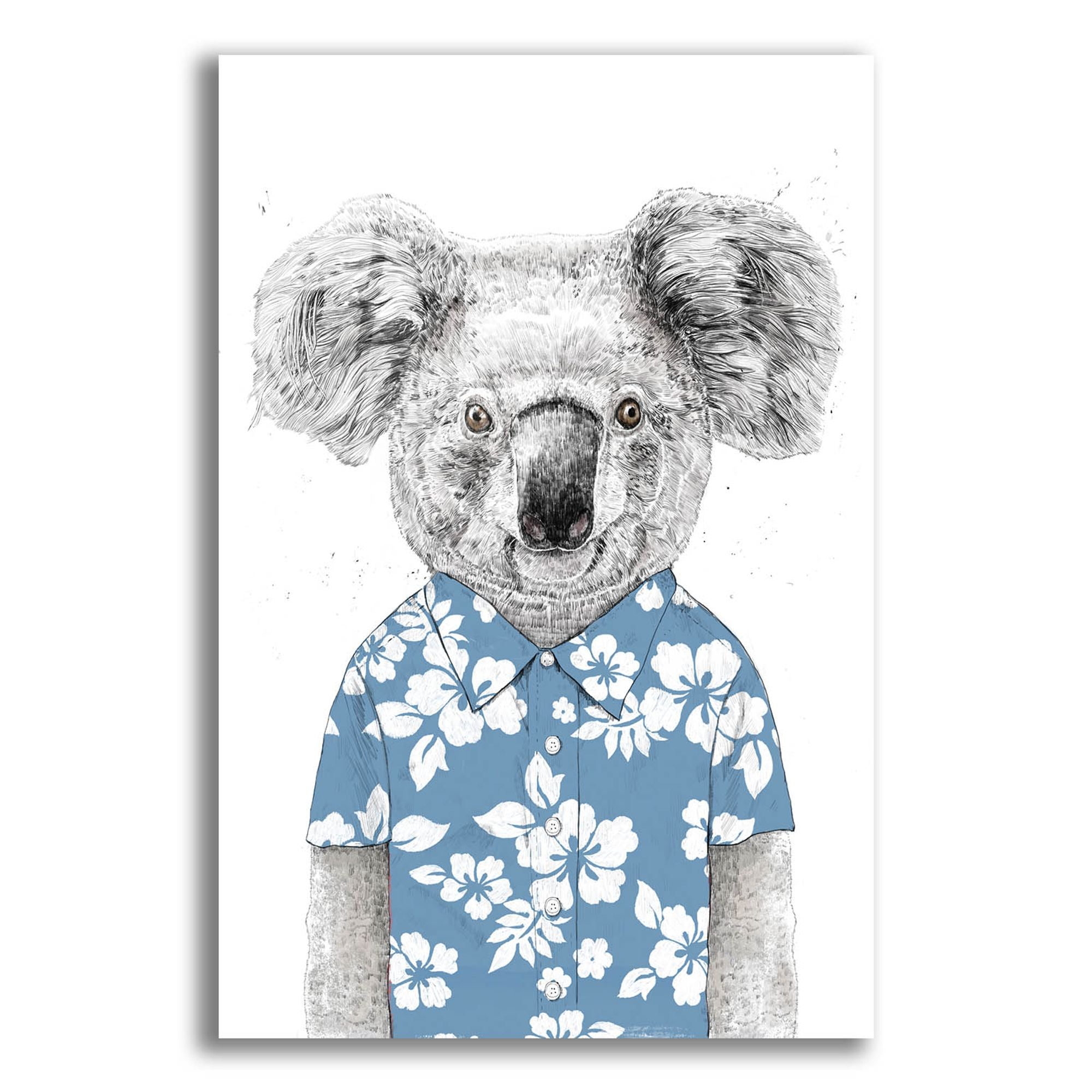 Epic Art ' Summer Koala, Blue' by Balazs Solti, Acrylic Glass Wall Art ...