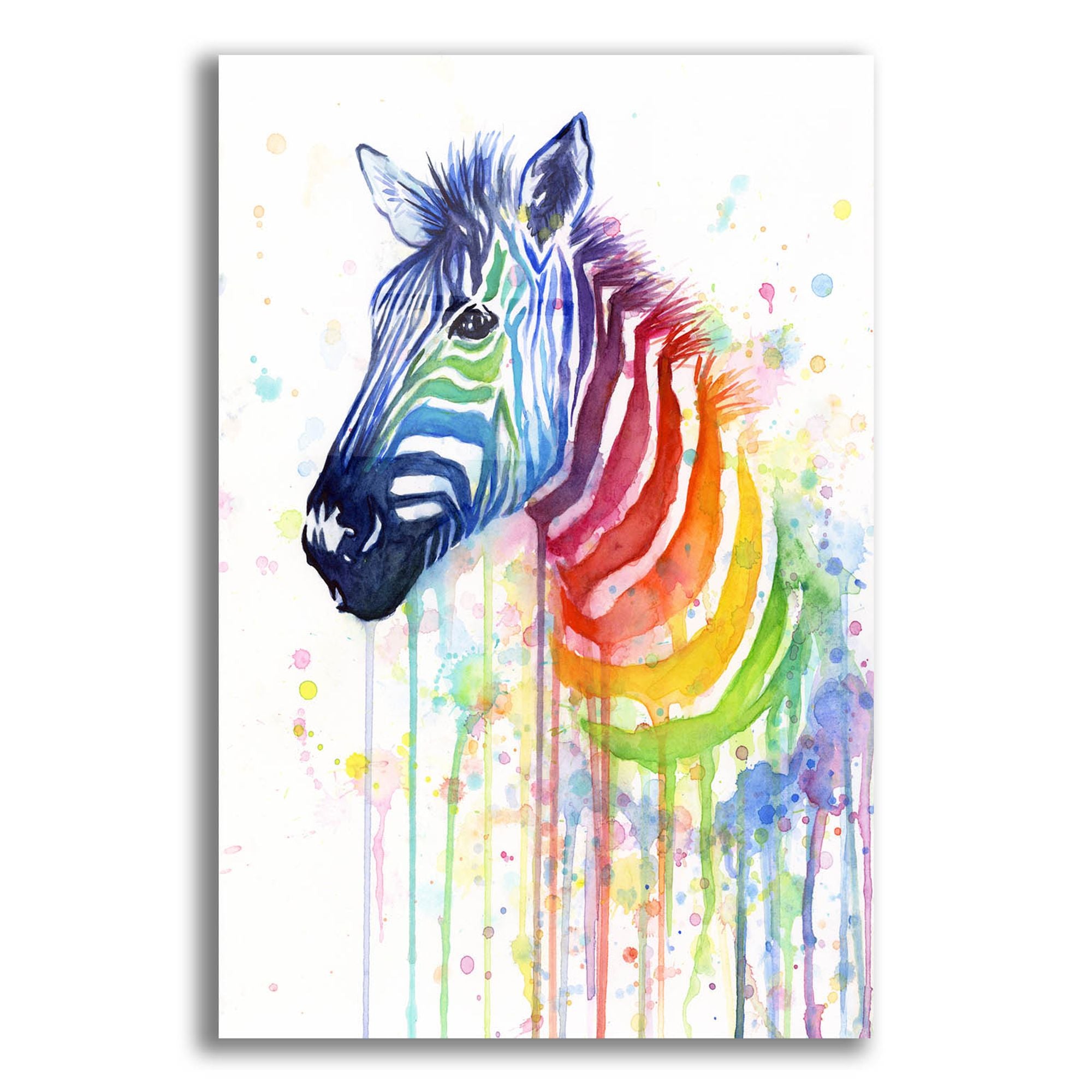Epic Art ' Rainbow Zebra' by Olga Shvartsur, Acrylic Glass Wall Art ...